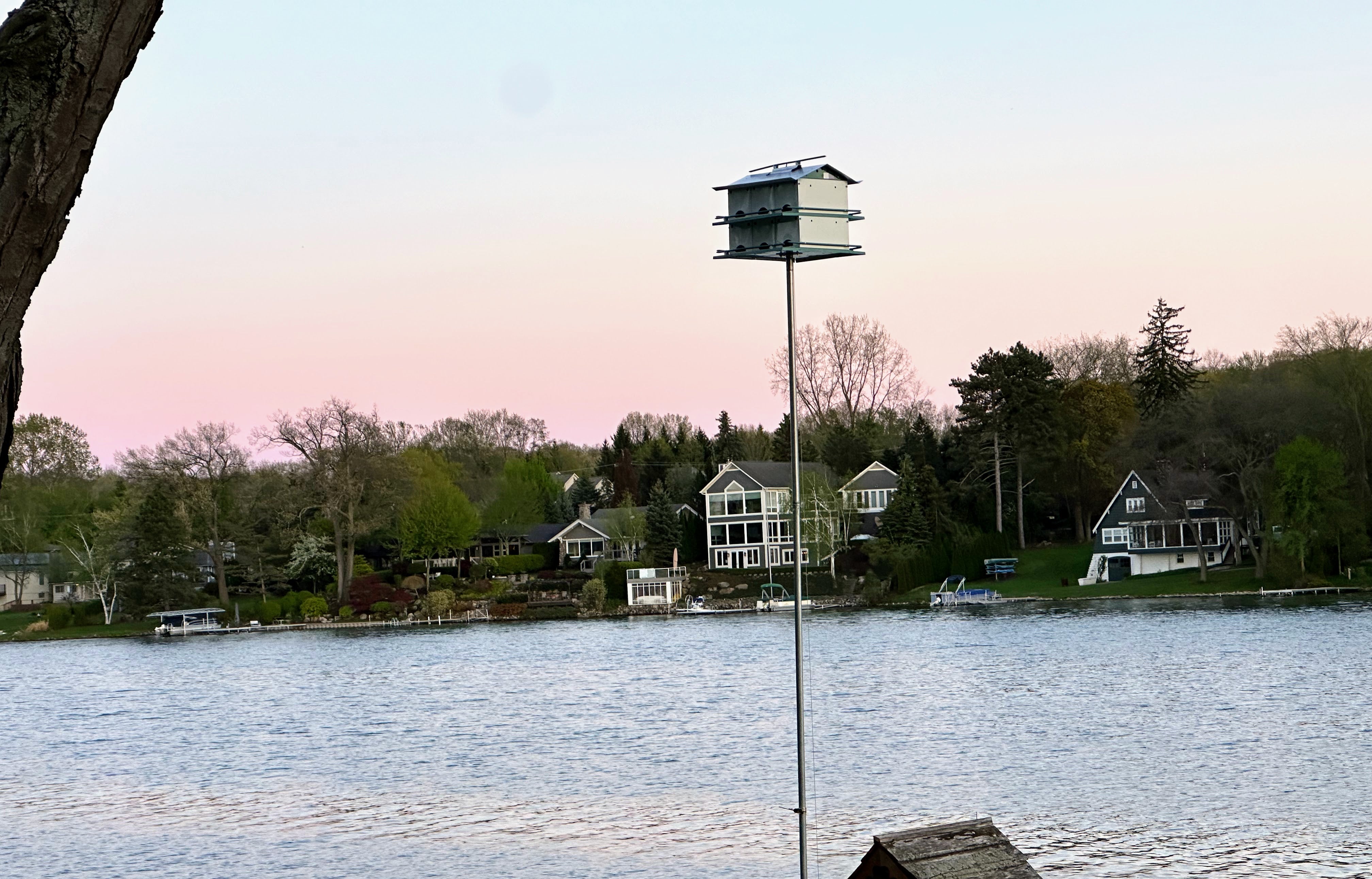 Purple Martin House - Complete Kit with 14' Pole - Nature House MSS12R ...